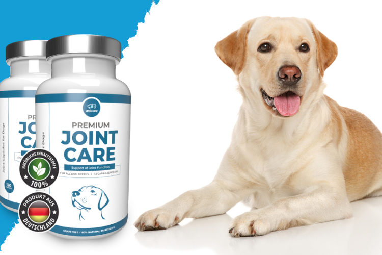 Anicare Premium Joint Care für Hunde | Gesunde Tiere